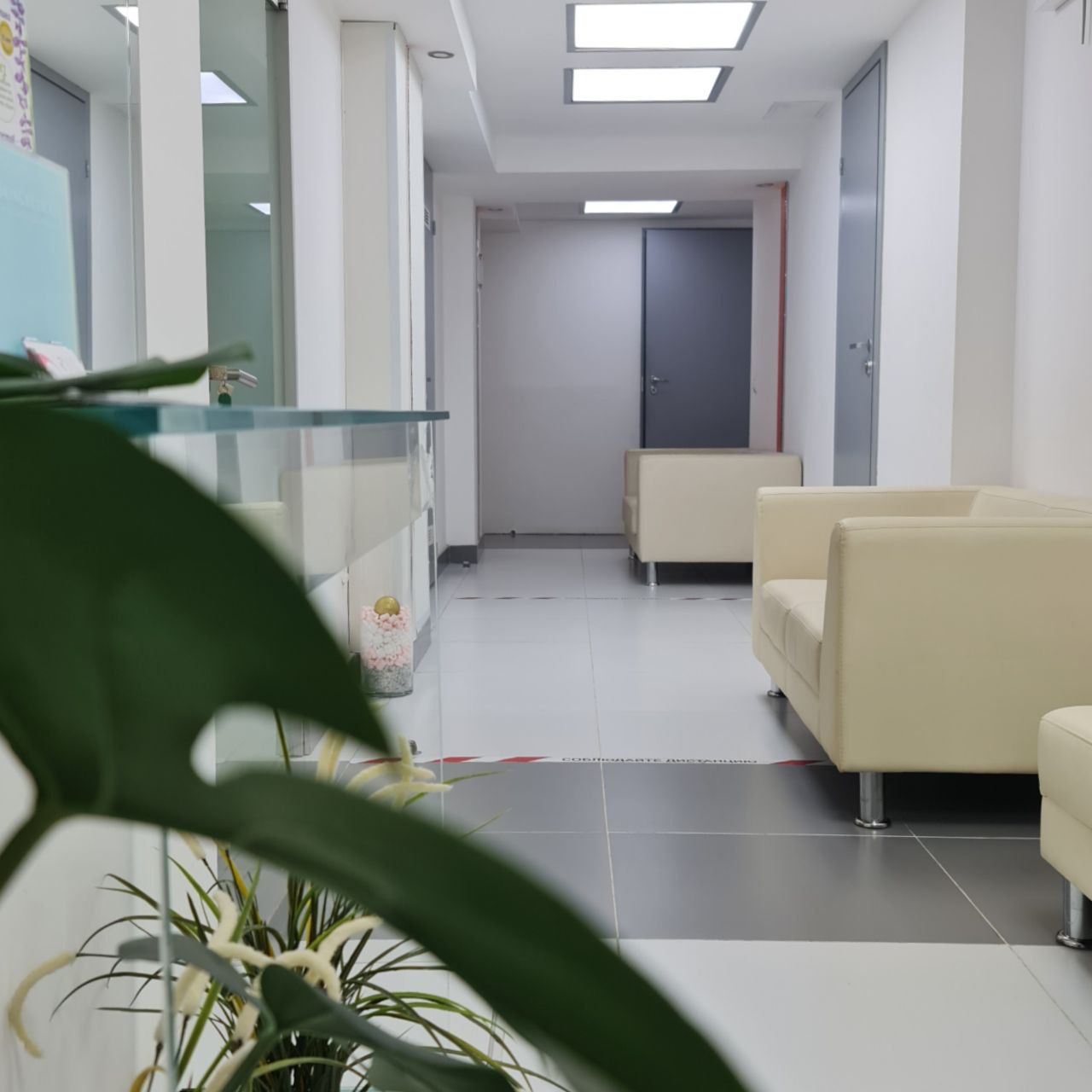 О клинике Evolution - Evolution-clinic.com